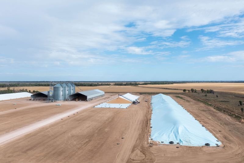 AgriDigital Store | Track and manage stored grain