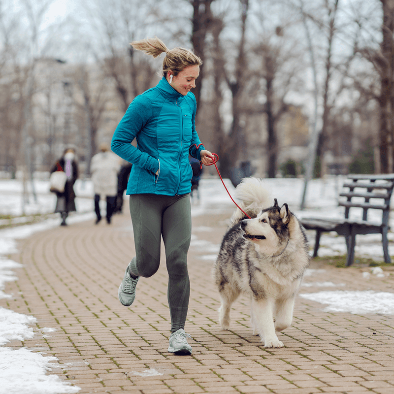 Naturalne przysmaki i przekąski dla psów | DogWay