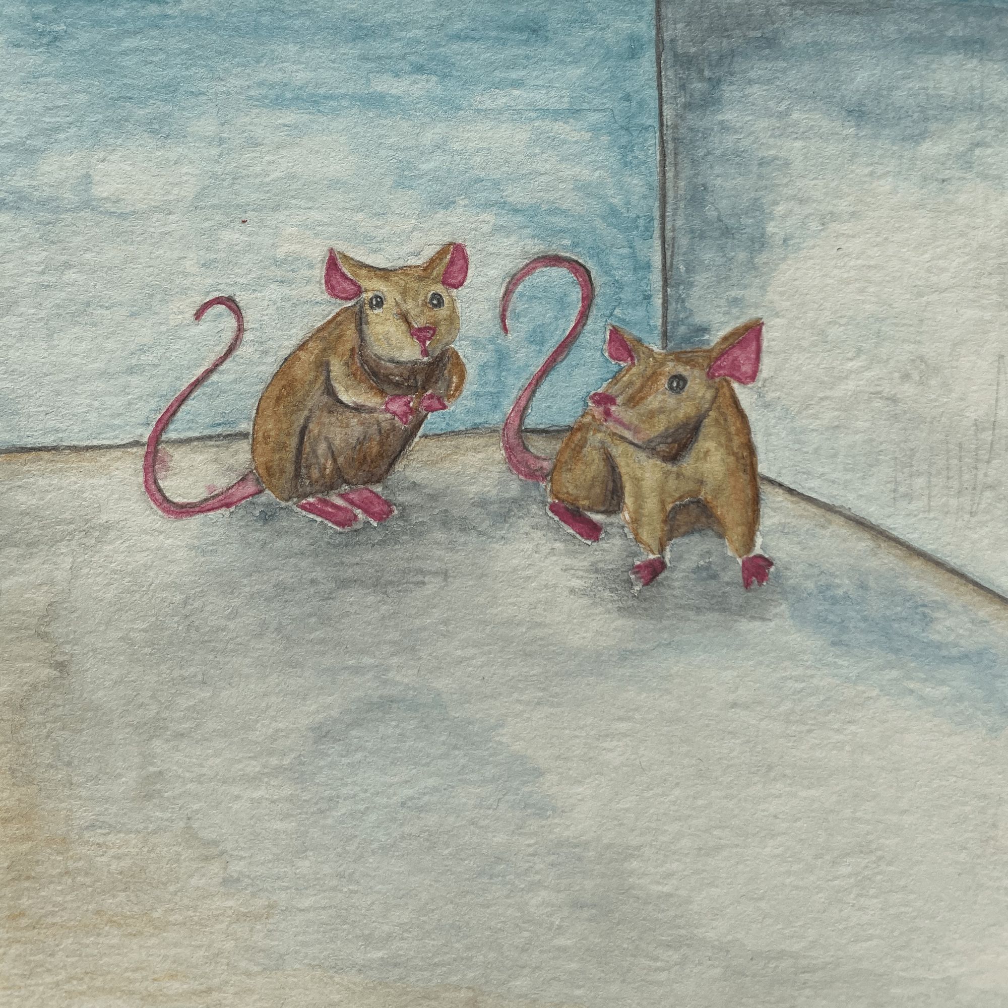 The Global Math Circle