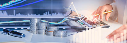 IDP for Finance Controllers - Smoother Sailing through Internal ...