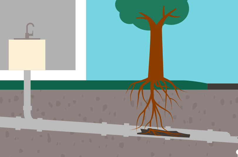 Calgary Sewer Line Inspections | Mister Poop