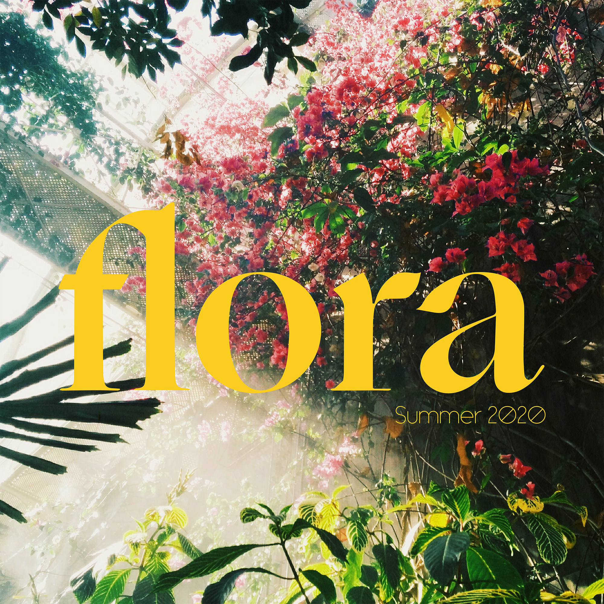 Flora