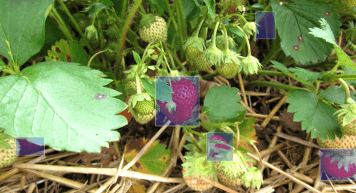 Image Annotation | SuperAnnotate