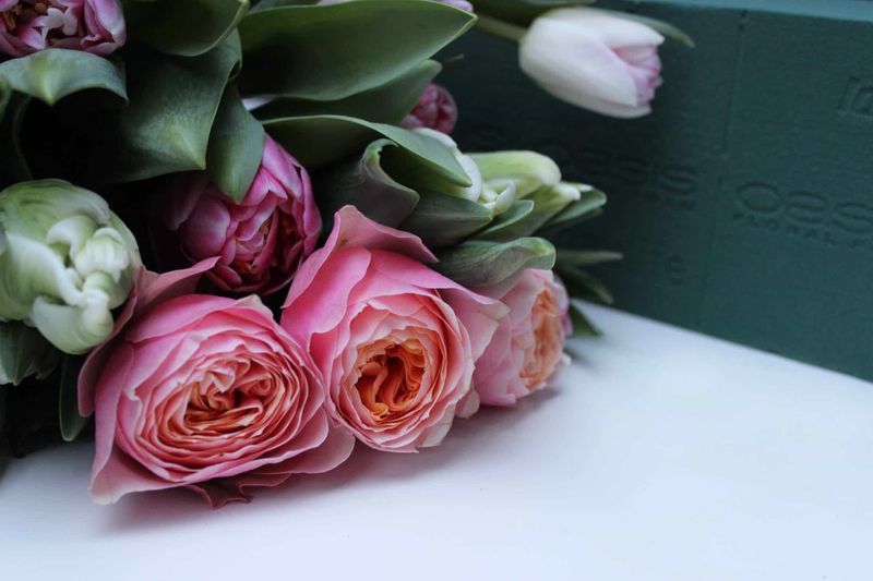 Best Rose Gardens To Visit In Britain