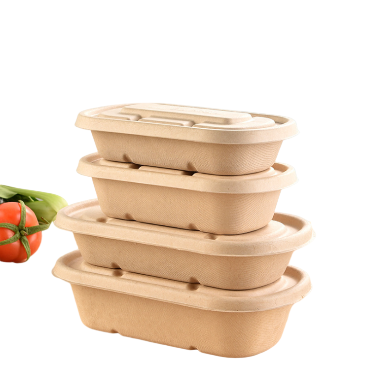 Compostable 1 Compartment Sugarcane Food Packaging Container