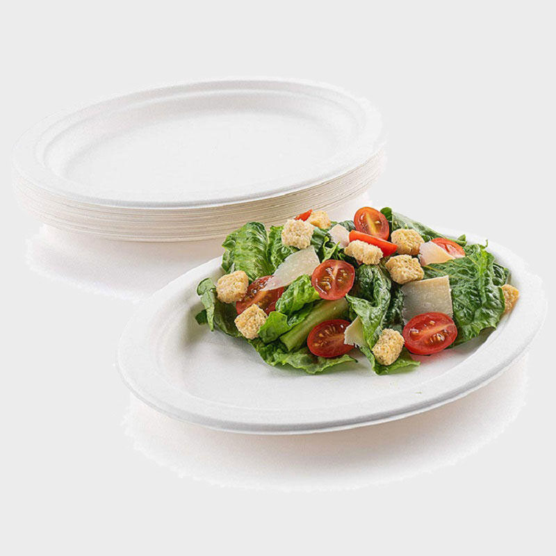 Oval Sugarcane Compostable Plates for Party