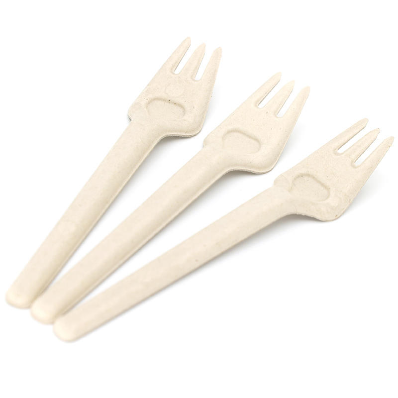 Biodegradable Bagasse Disposable Fork