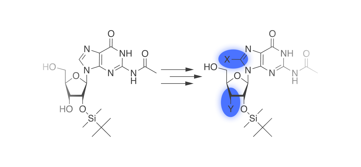 Custom Small Molecule Synthesis