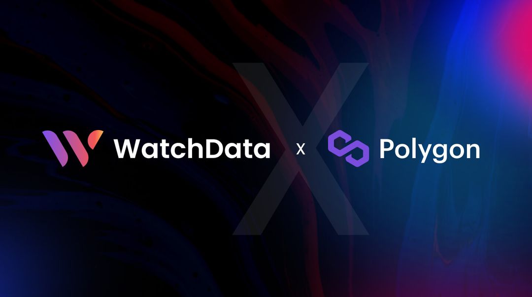 Polygon API – How to Efficiently Create Polygon Dapps using WatchData ...