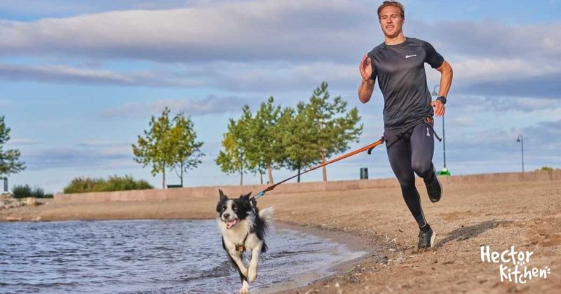 Courir avec son chien : conseils et bonnes pratiques | Hector Kitchen