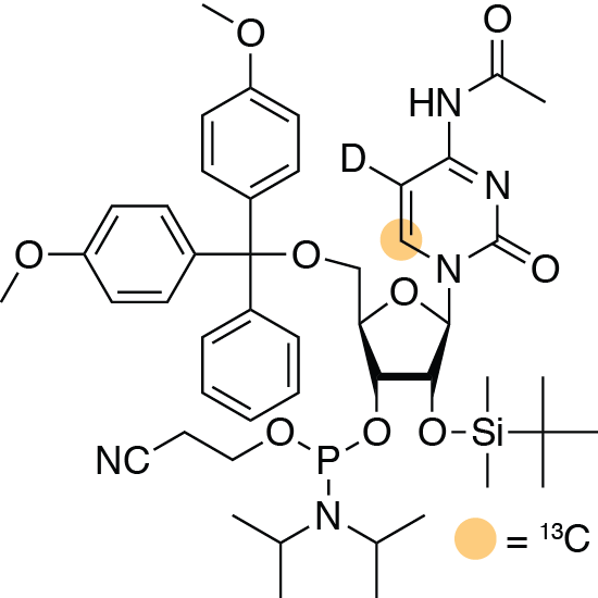 Stable isotope labeled RNA & DNA building blocks