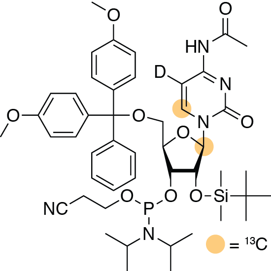 Stable isotope labeled RNA & DNA building blocks