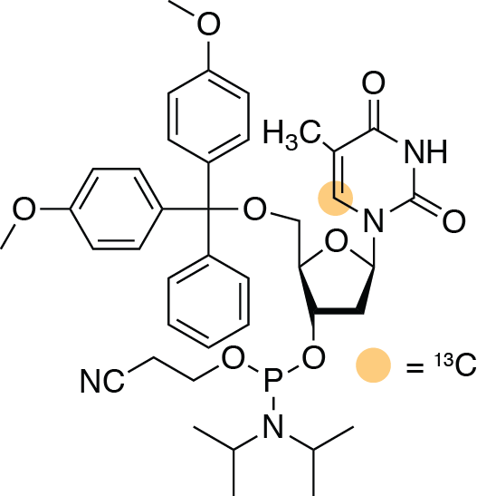 Stable isotope labeled RNA & DNA building blocks