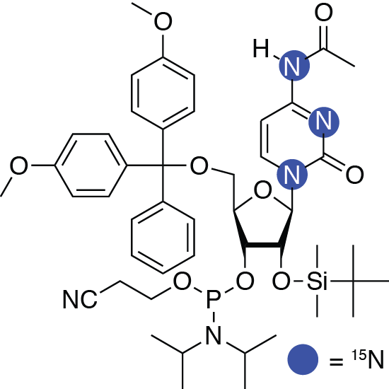 Stable isotope labeled RNA & DNA building blocks