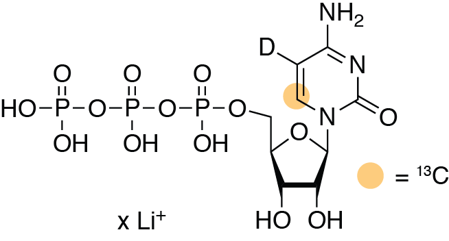 Stable isotope labeled RNA & DNA building blocks