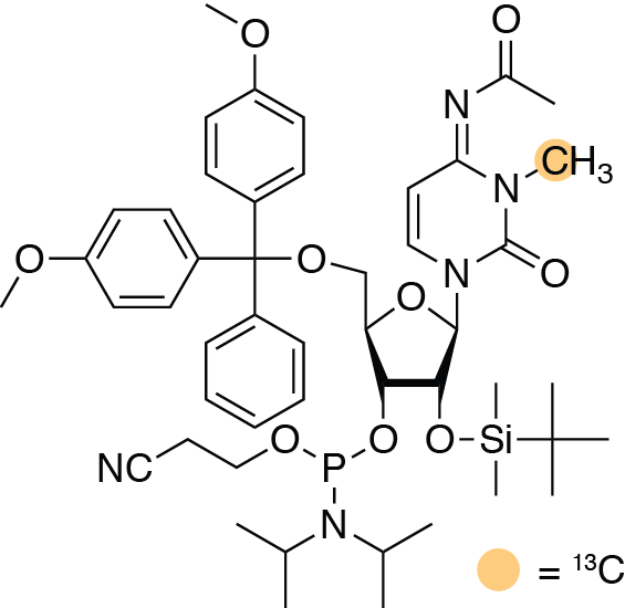 Stable isotope labeled RNA & DNA building blocks