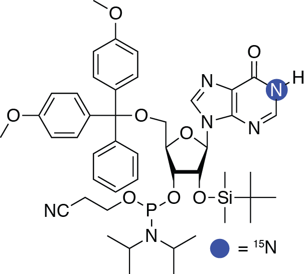 Stable isotope labeled RNA & DNA building blocks