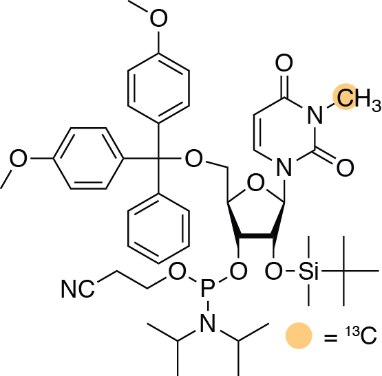 Stable isotope labeled RNA & DNA building blocks