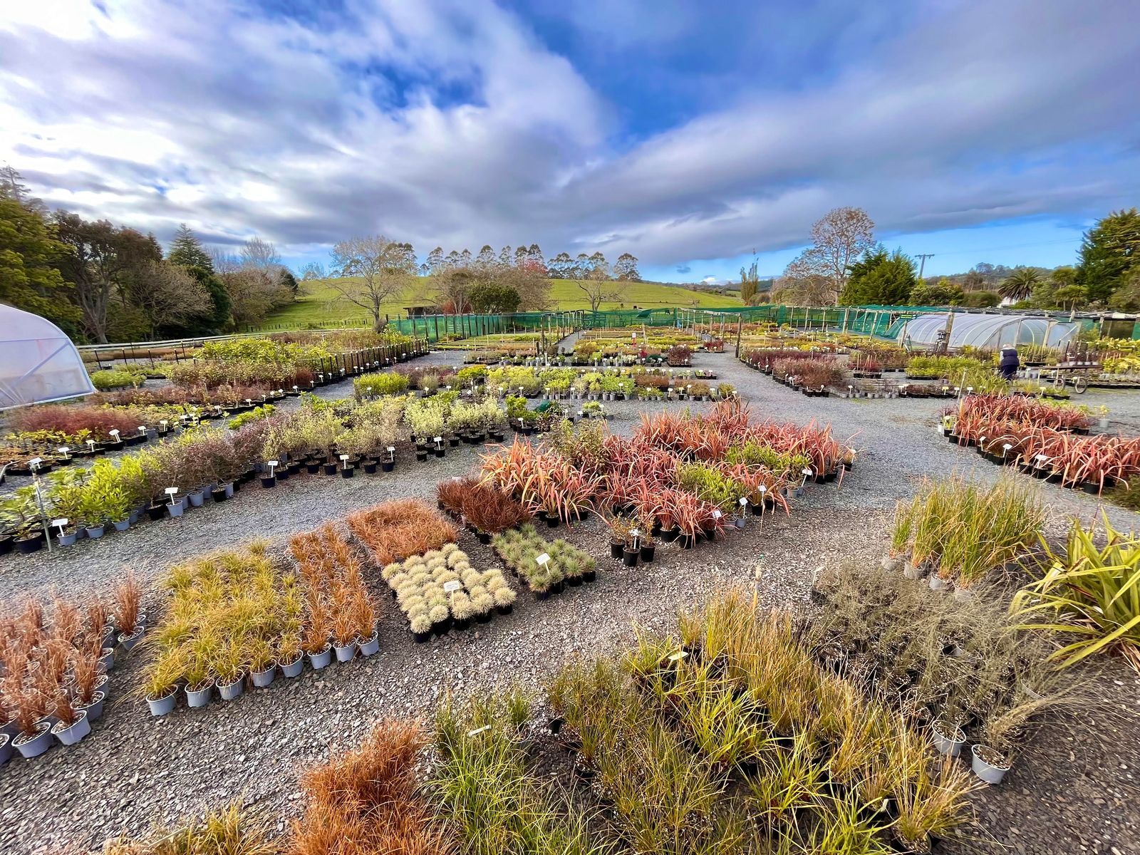 Kerikeri Plant Production