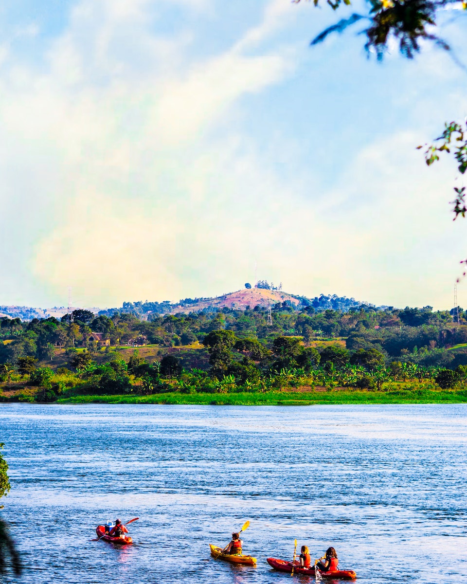 Anti Ableism Association