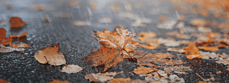 Anglian Water Direct | Home