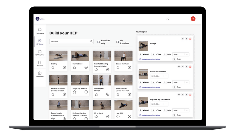 Physical Therapy Home Exercise Program (HEP)
