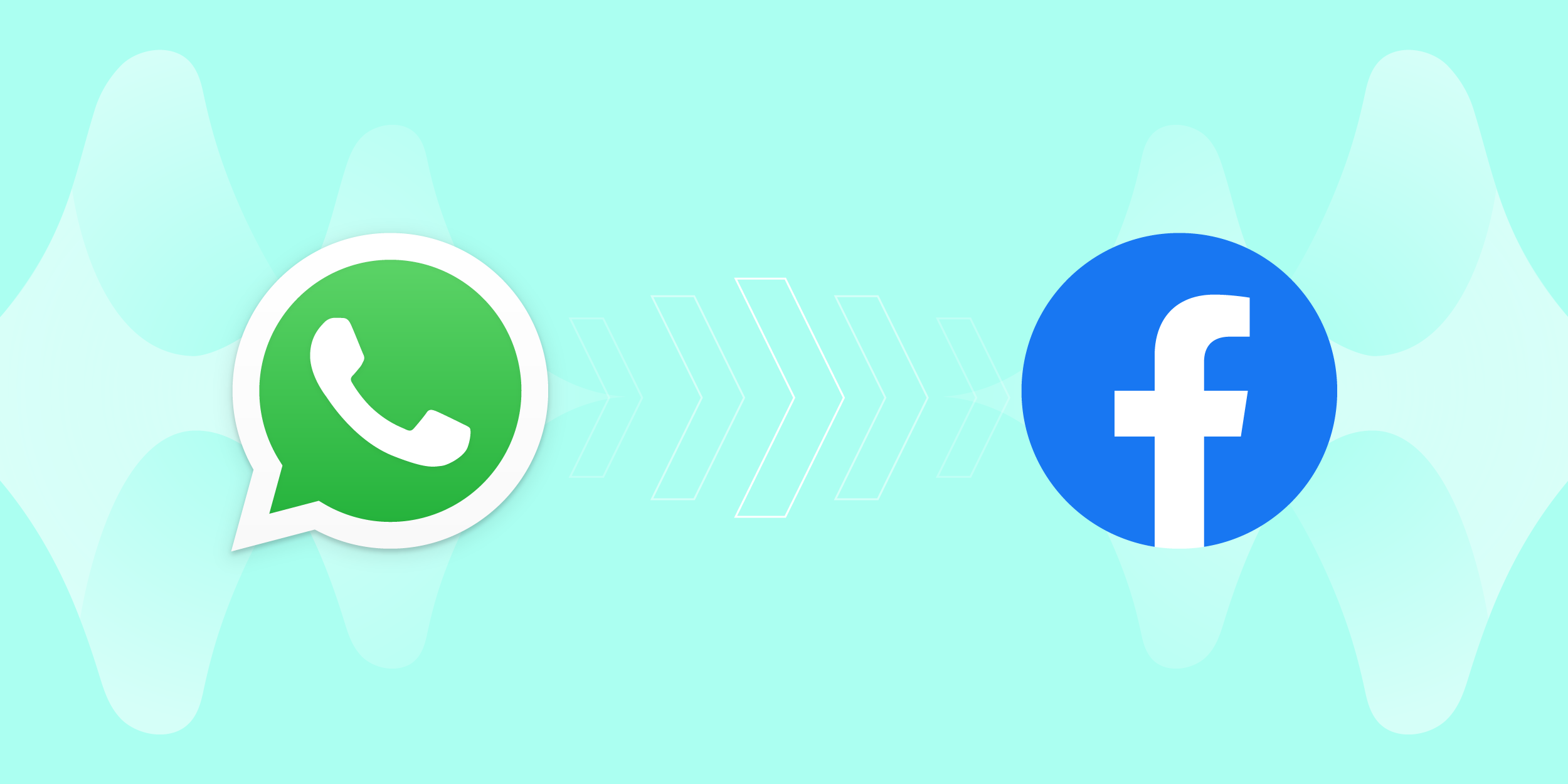 Click to WhatsApp: o que é e como usar | Blog da Botmaker