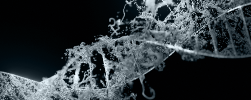 ATID - Build The Future