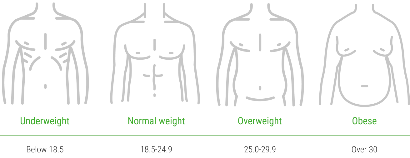 Body Mass Index (BMI) calculator