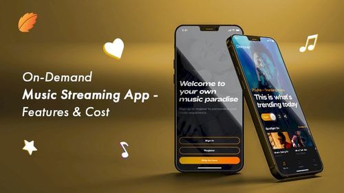 On-Demand Music Streaming App- Features and Costs —Consagous