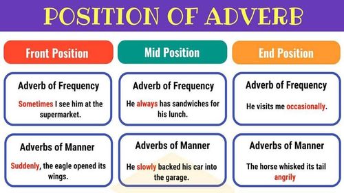 What is an Adverb Position? | Examples | Grammar | SpeakoClub