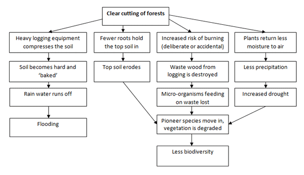 Consequence of deforestation – Flow Chart | SpeakoClub