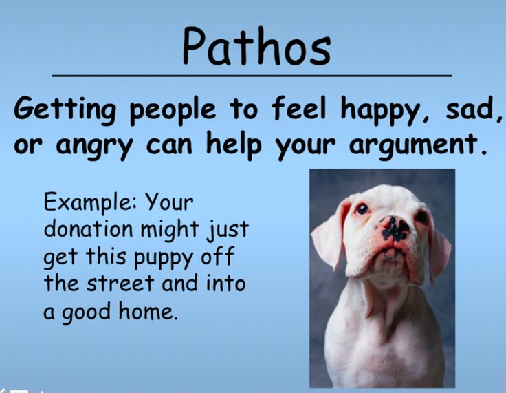 What are examples of pathos?-CEFR | SpeakoClub