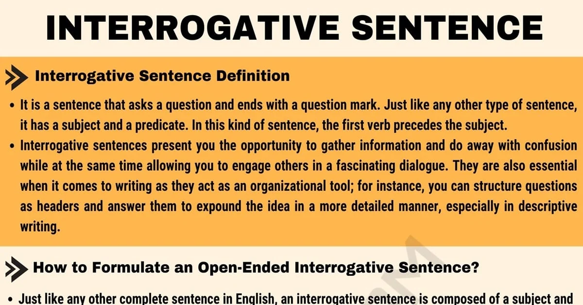 Interrogative Sentences | Learn English | SpeakoClub