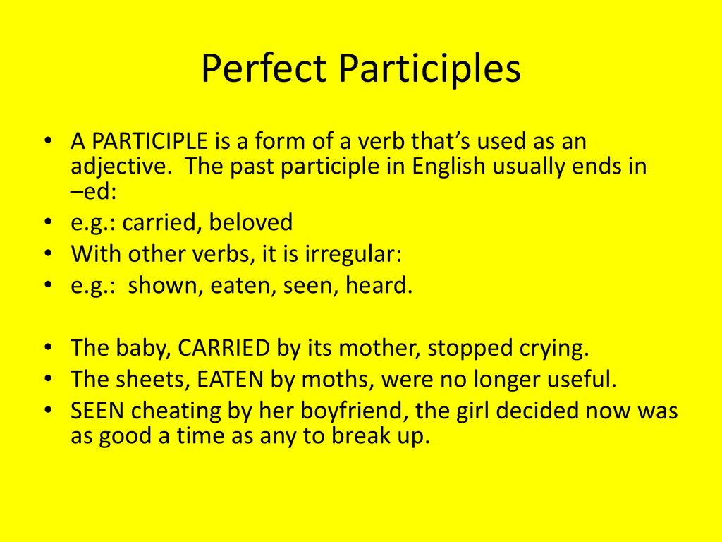 What are perfect participles? | Grammar | SpeakoClub