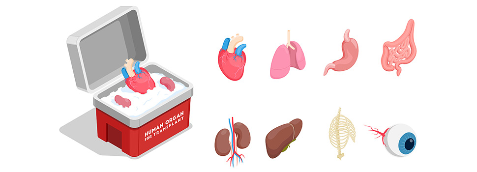 Legalize the sale of human organs | Debate