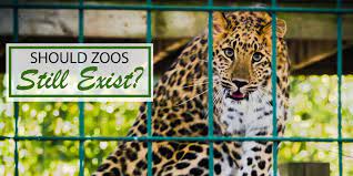 Banning zoos: yes or no? | Debate