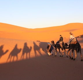 About us - Prioticket