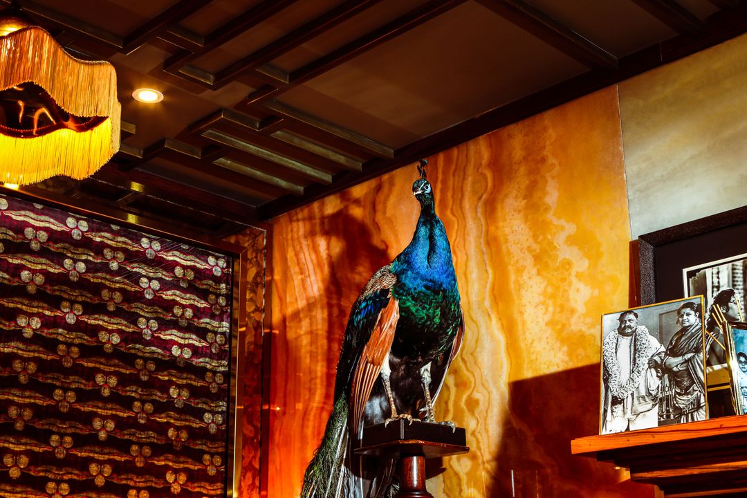 Bandra Bhai | Cocktail Bar