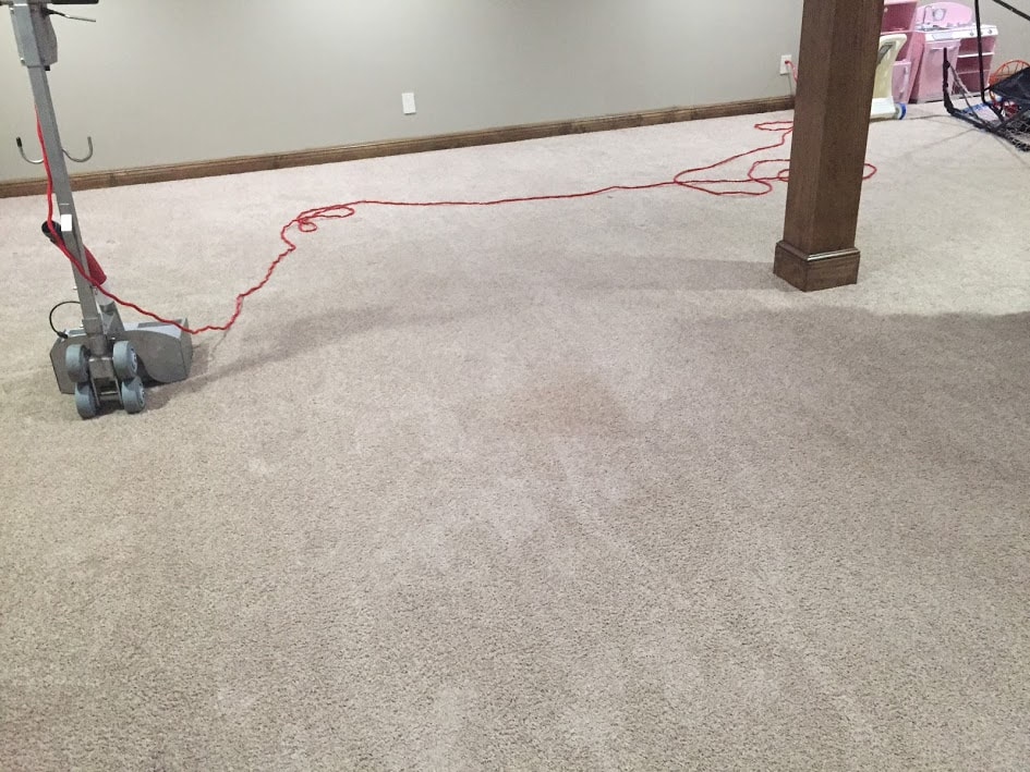 Carpet & Rug Cleaning in Kansas City | AFC Cleaning & Restoration