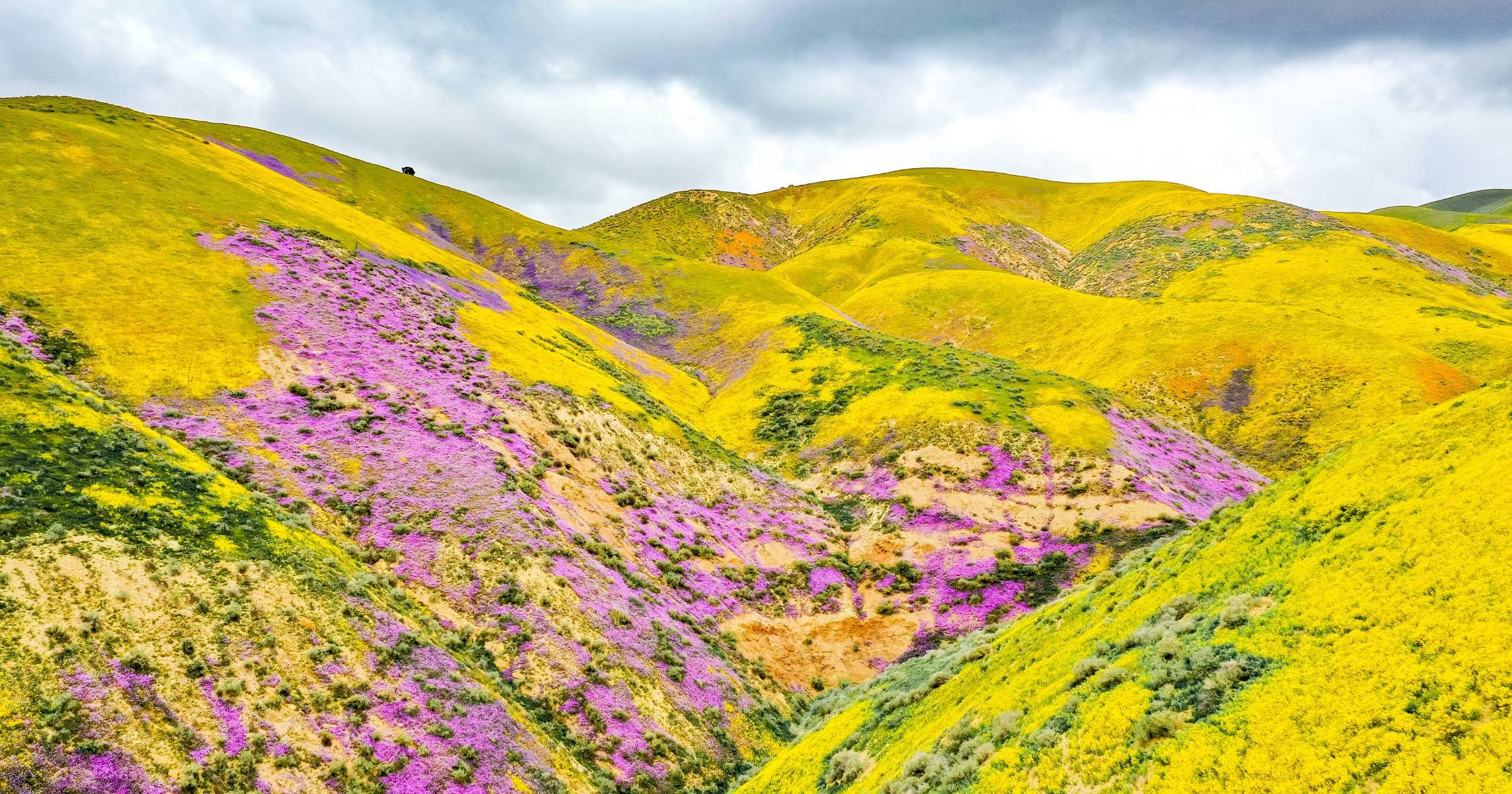 Get in touch - Trility