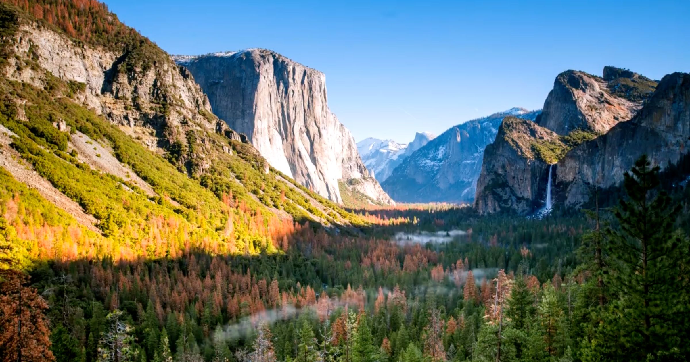 Technology & Business Management Consultants | Trility