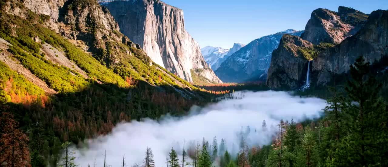 Technology & Business Management Consultants | Trility