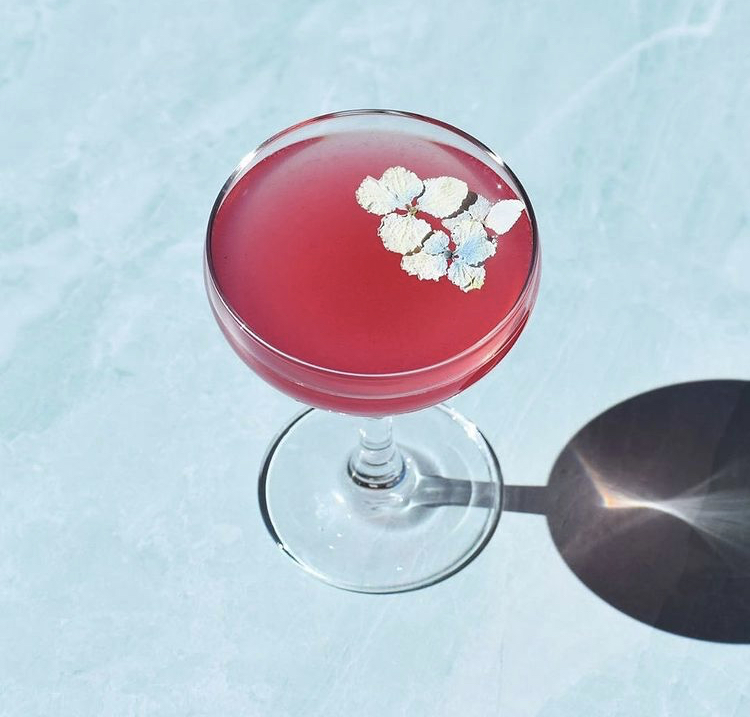 Scrappy's Bitters | Products: Black Lemon Bitters