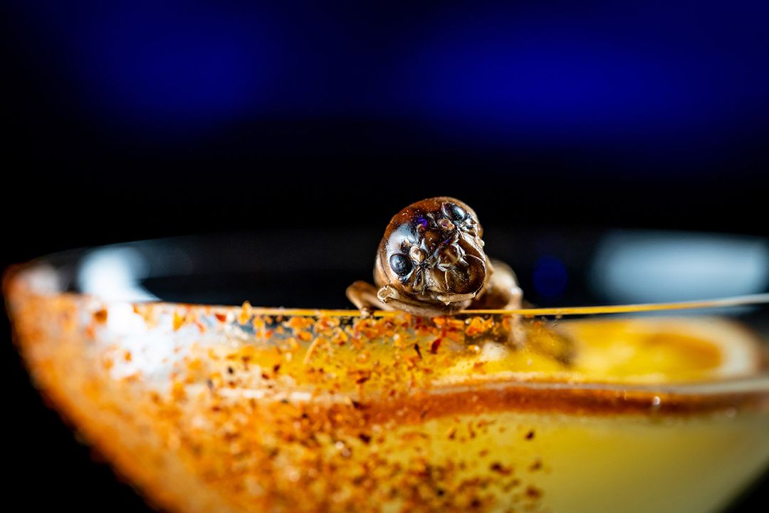 Offworld Bar - Celestial Cocktails