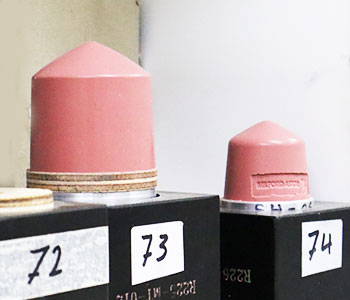 Paramount Safety - Case Study