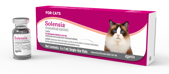 Arthritis in Cats | The Complete Guide to Caring for Your Cat