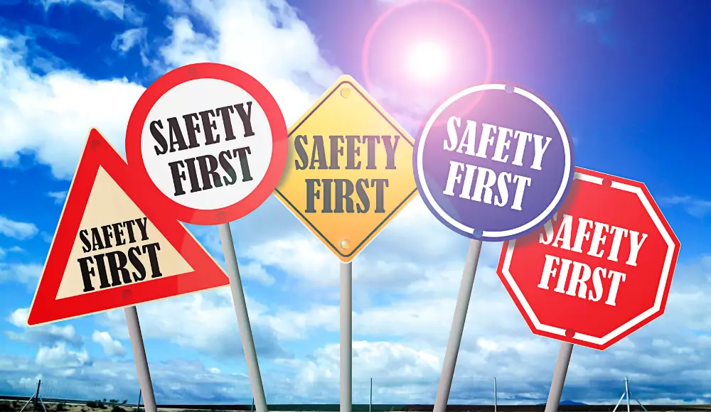 How to Reintroduce Cats After a Fight | 5-Step Plan to Peace