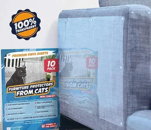 How to Stop a Cat Spraying Indoors: Vet Shares 11 Solutions