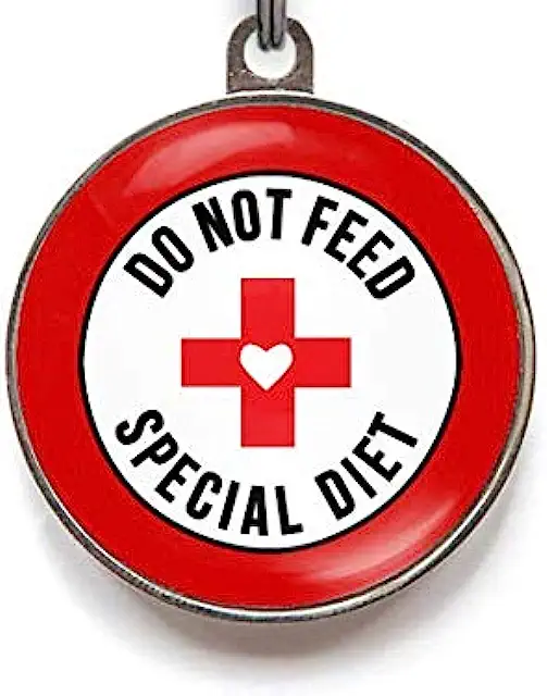 How to Help a Cat Lose Weight | Effective Weight Loss Plan